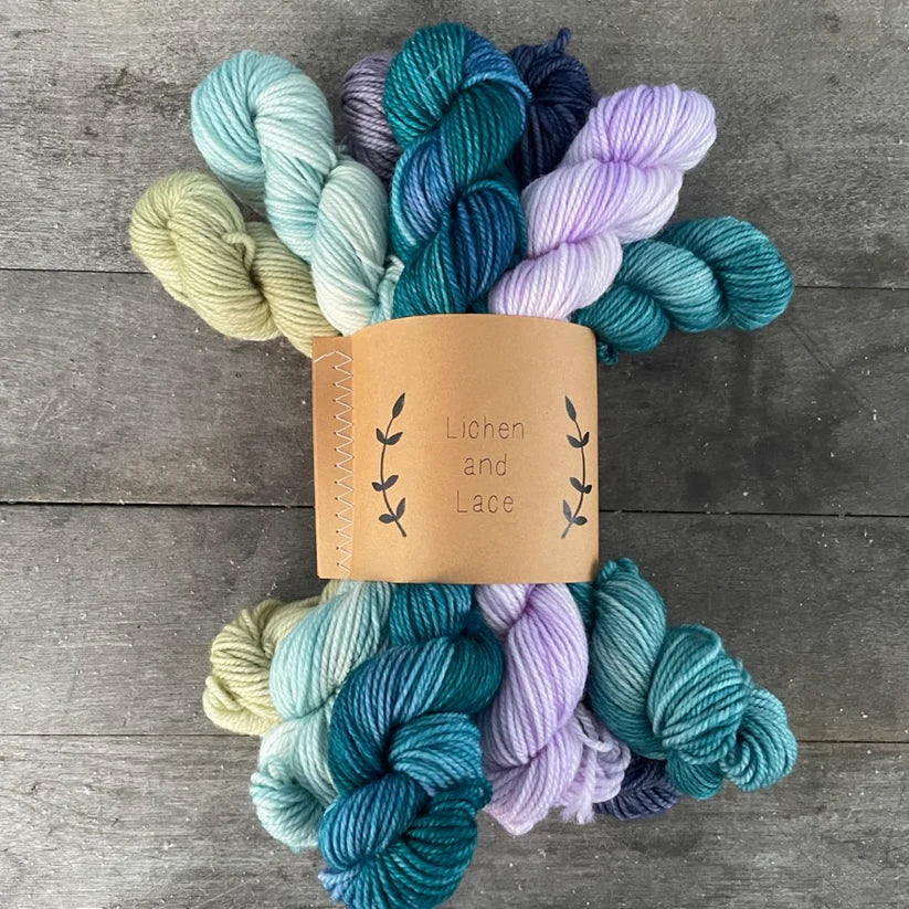 Lichen & Lace | Mini Sock Sets – Wool and Waves Yarn Store